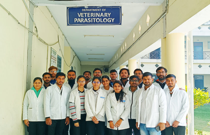 Sardar Vallabhbhai Patel University of Agriculture & Technology , Meerut